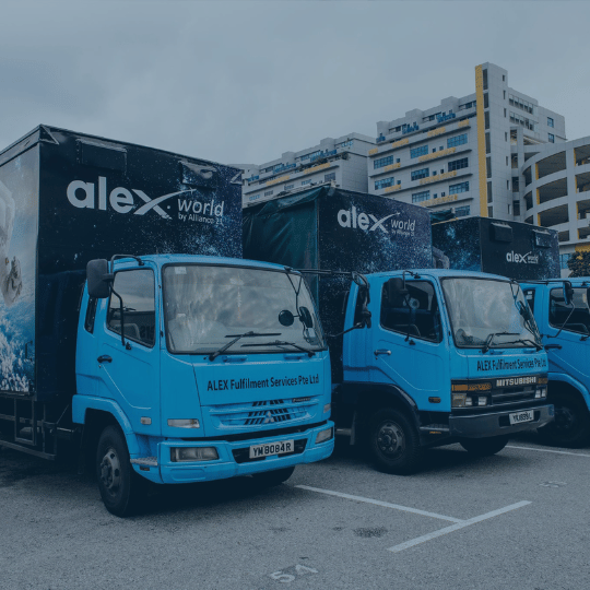 Comprehensive Logistics and Transport Services | ALEX World